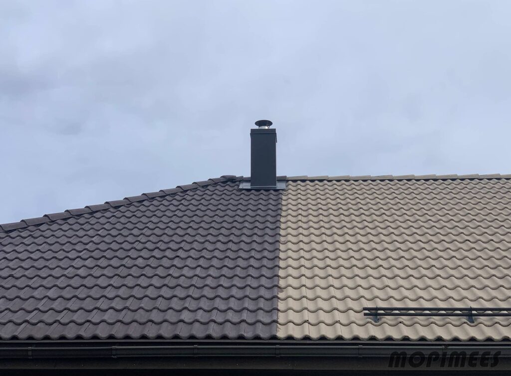 Katuse puhastamine: kuidas pesime ja värvisime erakliendi katuse